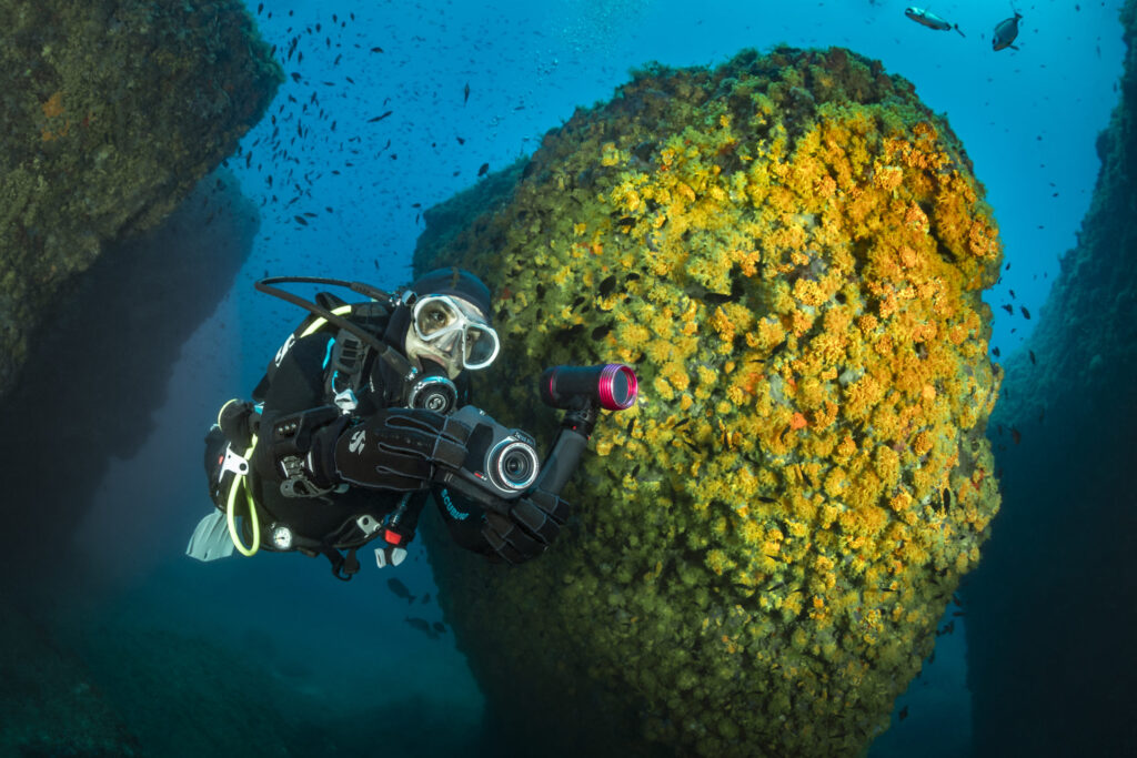 Micro 3.0 Underwater Camera – SeaLife Cameras